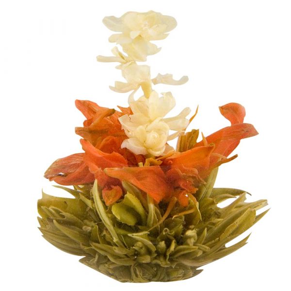 Types of Tea - Chaiology